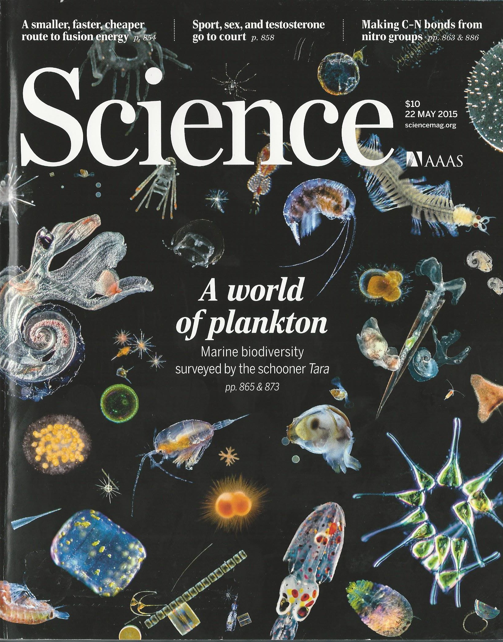 A BEWILDERING SWIRL OF LIFE | Simanaitis Says