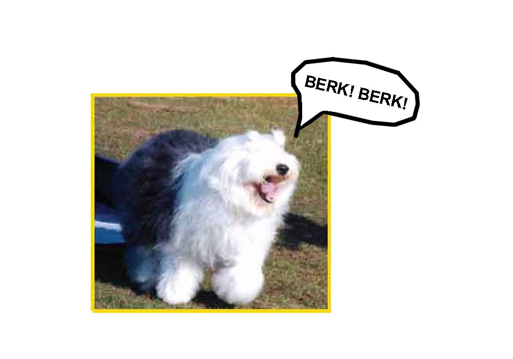 BERKS AND CLERKS | Simanaitis Says