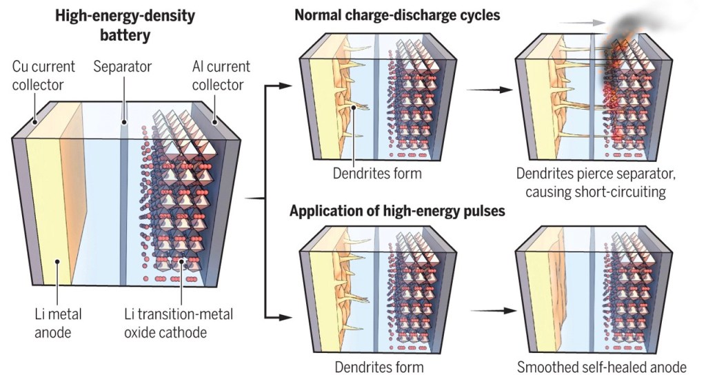 SCIENCE TIDBITS PART 1 | Simanaitis Says