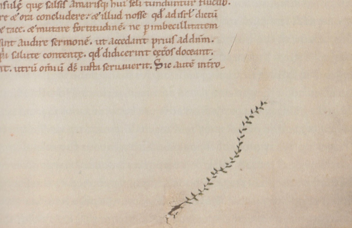 HUGO PICTOR’S SELFIE | Simanaitis Says