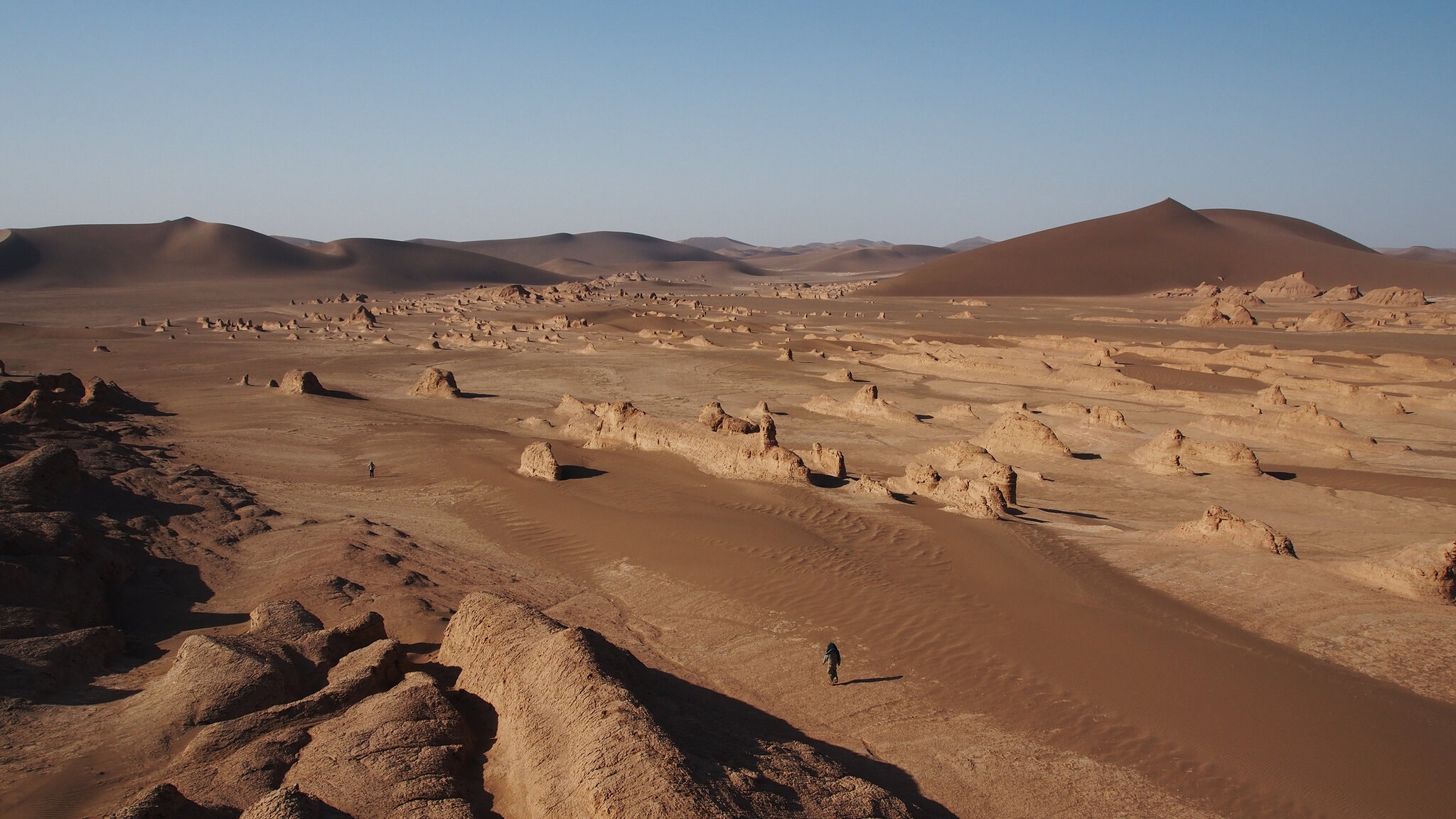 DESERT-DWELLING FAIRY SHRIMP | Simanaitis Says