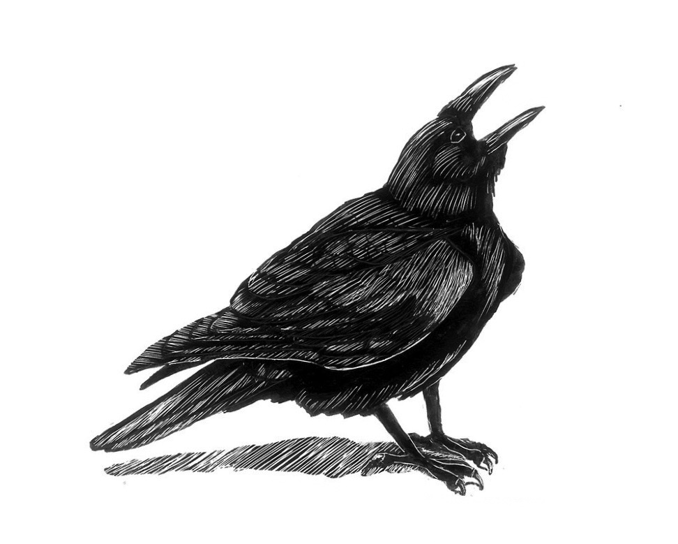 CORVID LORE PART 1 | Simanaitis Says